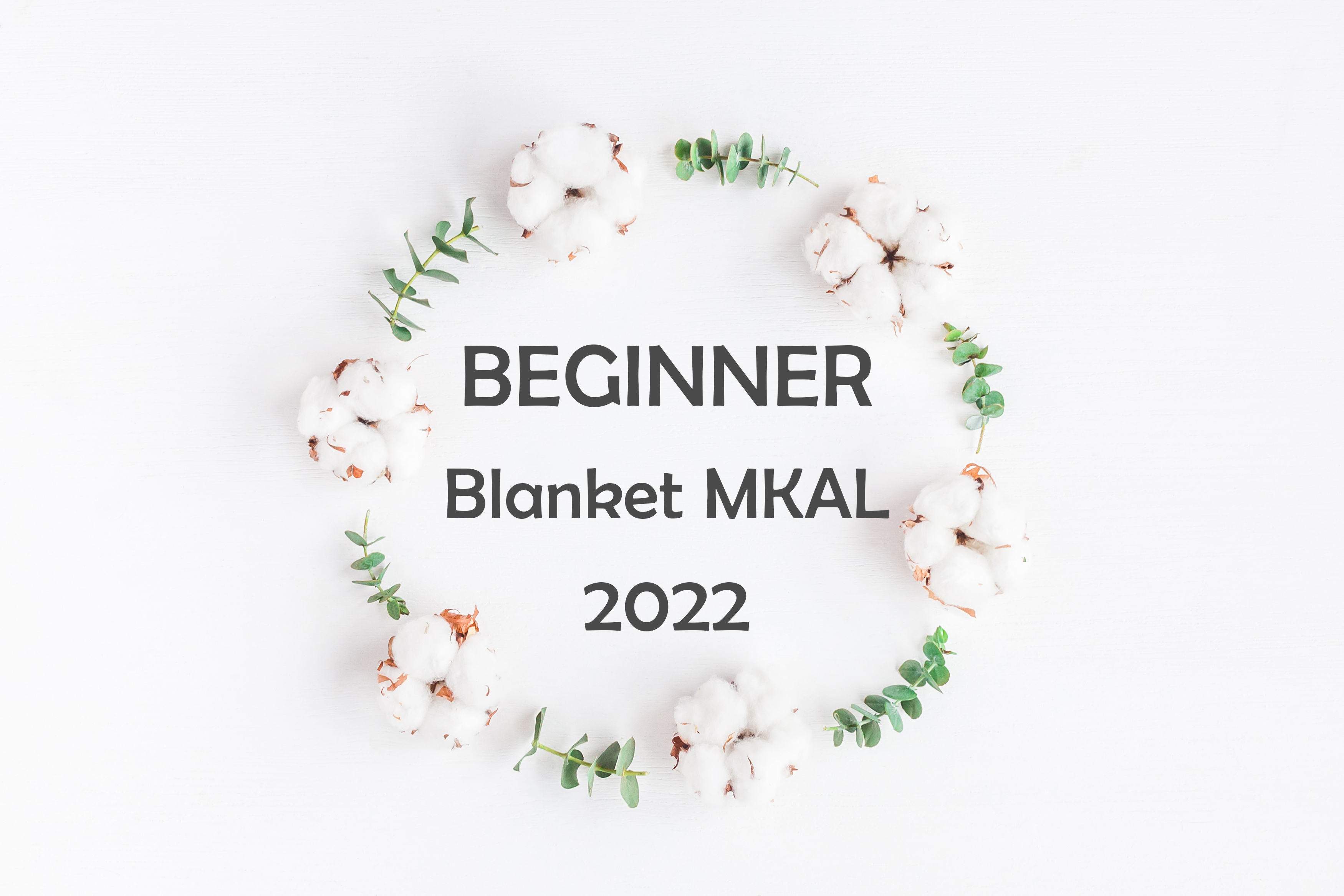 BEGINNER Blanket MKAL 2022 - Oh La Lana! knitting blog