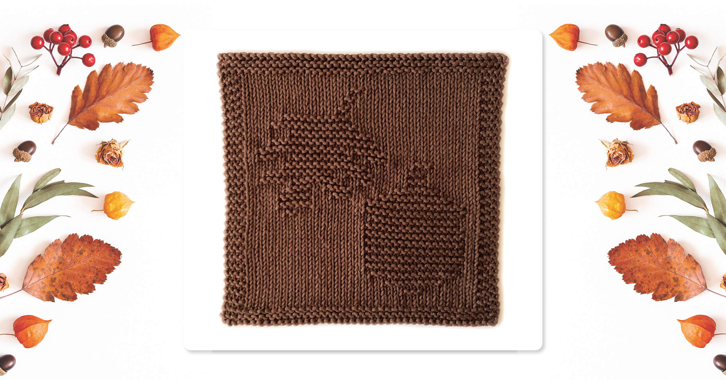 Free Acorn ad Oak Leaf Knitting Pattern | Into the Woodlands #4