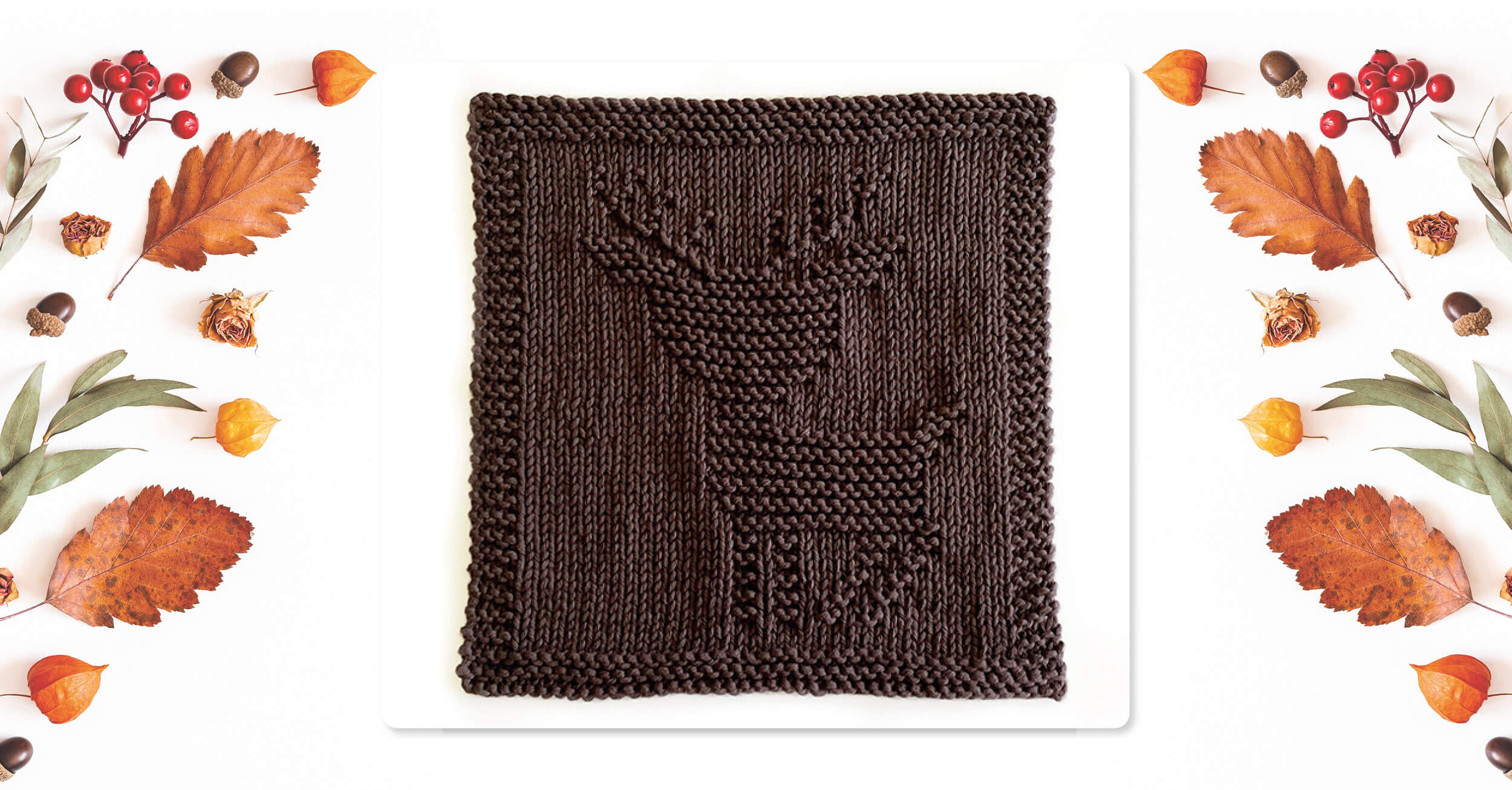 Free Deer Knitting Pattern: Easy Woodland Nursery Blanket Block